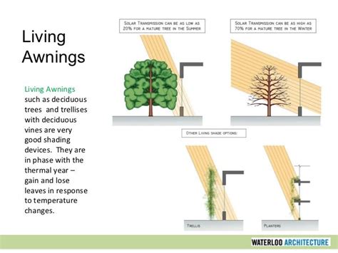 Living Awnings Such As Deciduous Trees And Trellises With Deciduous