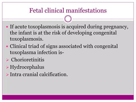 Torch Infection In Pregnancy Pptx