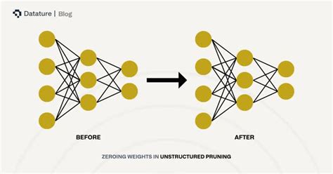 keechin goh on linkedin datature neural network pruning