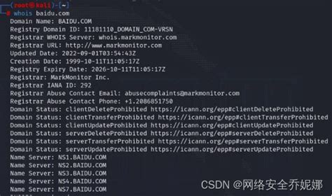Kali Linux 渗透测试全流程详解kali Linux渗透测试全流程详解pdf Csdn博客