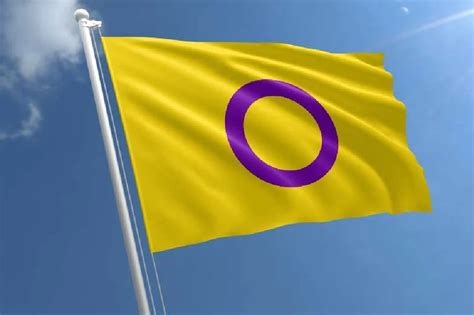 Intersex Pride Flag And Intersex Flag Meaning