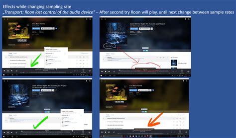 Transport Roon Lost Control Of Audio Device Support Roon Labs