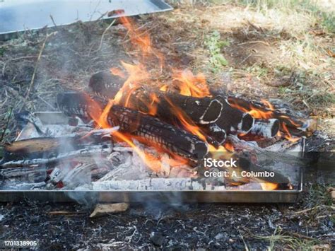 야외에서 고기를 굽기 위한 유기농 숯 생산을 위한 불타는 나무 고기에 대한 스톡 사진 및 기타 이미지 고기 구이 굽기 Istock