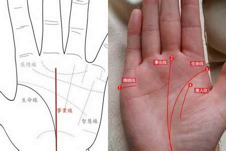 【手相】【图】详释手相事业线的秘密 一眼看穿你的工作运 伊秀风水