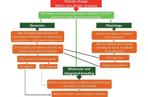Figure 1 From Factors Affecting Yield Of Crops Semantic Scholar