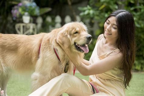 Berapakah Umur Anjing Dibandingkan Umur Manusia Hello Sehat