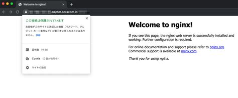 Getting Started Iot デバイスで動作する Web アプリケーションにアクセスする Tls 接続 Soracom Napter ソラコムユーザーサイト