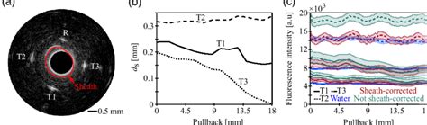 Considering Catheter Location Inside Of The Sheath Improves Overall