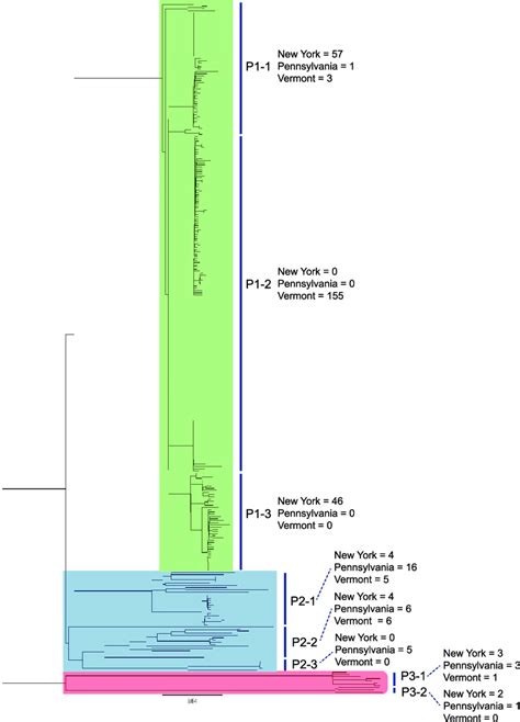 Maximum Likelihood Phylogeny Showing Relationships Among Isolates Download Scientific Diagram