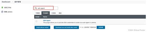 坑2：jenkins报错java nio file accessdeniedexception或execute shell等设置问题 jenkins java nio file