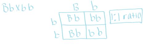 Gen 3000 Exam Practice Questions Flashcards Quizlet