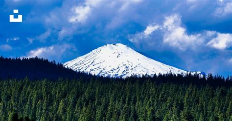 낮에는 흰 구름과 푸른 하늘 아래 눈 덮인 산 근처의 푸른 나무 사진 Unsplash의 무료 마운트 후드 이미지