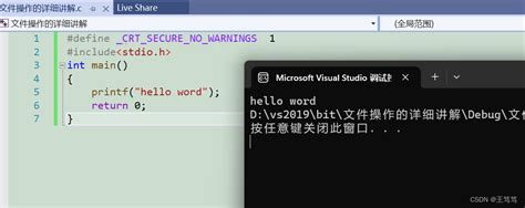 【c语言】文件操作详细讲解王笃笃的博客 Csdn博客