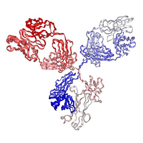 Eculizumab Biosimilar Human C5 Antibody Ushelf