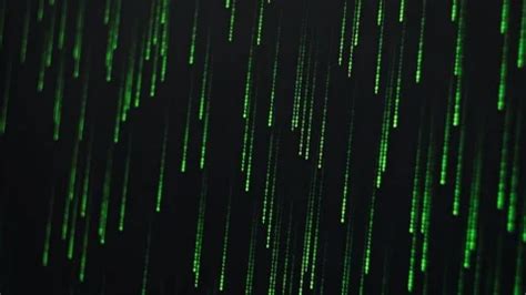 Matrix Code Rain Background Green Digit Stock Video Pond