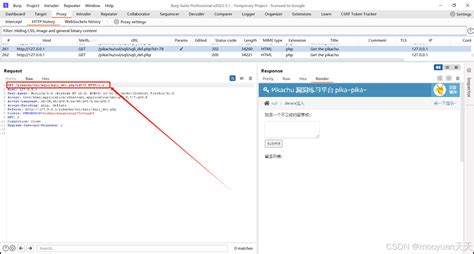Pikachu靶场通关笔记23 Sql注入06 Delete注入报错法 Csdn博客
