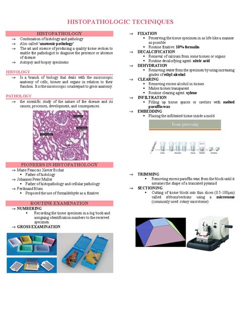 Histopathologic Techniques Histopathologic Techniques Histopathology