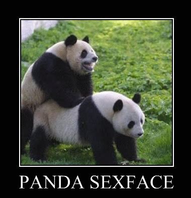 Lippmann Lippmann S Plurk Plurk