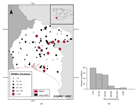Machine Learning Methods And Synthetic Data Generation To Predict Large Wildfires