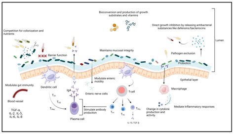 Salmonellosis An Overview Of Epidemiology Pathogenesis And