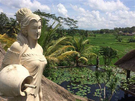 Codingnomads Completes Our First Coding Bootcamp In Bali Heres How It