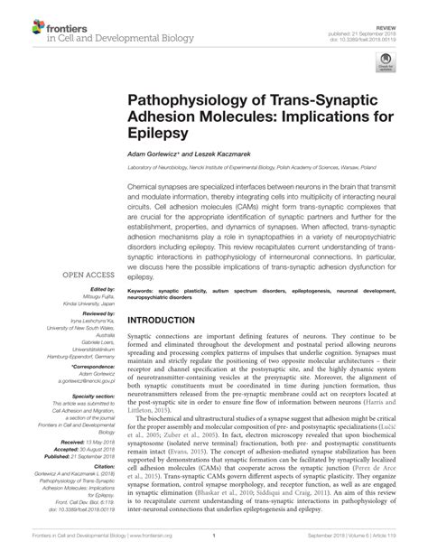Pdf Pathophysiology Of Trans Synaptic Adhesion Molecules