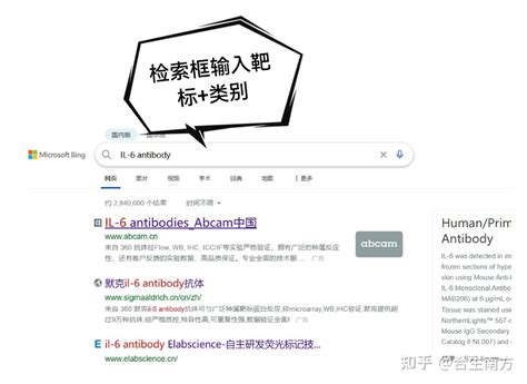 大家一般在哪里找抗体？