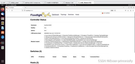 记录安装floodlight与mininet连接过程floodlight安装 Csdn博客