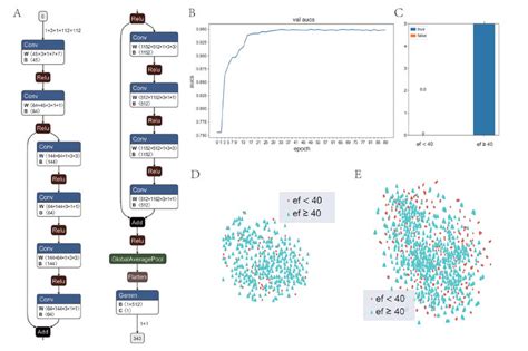 partial structure of the model data visualization and training effect