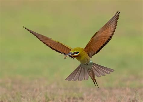 Comparing The Leading Tools That Scan Against The Cis Kubernetes Benchmark Framework Armo By