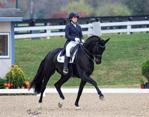 A Slew Of New Champions Crowned At 2024 Usdf Dressage Finals
