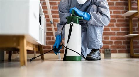 How To Prevent Common Summer Pests Pest Controls Services
