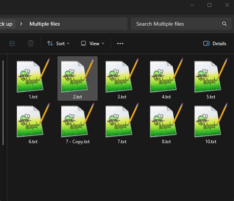 Selecting Multiple Files Andrzej Langowski