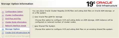 Creating Rac Database On Acfs Using Oracle Gi 19c Setup On Oel 78 Dev