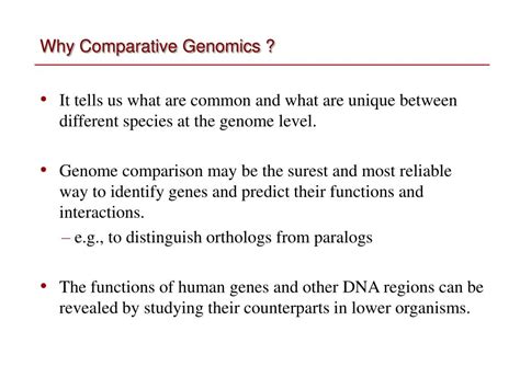Ppt Genome Analysis Ii Comparative Genomics Powerpoint Presentation