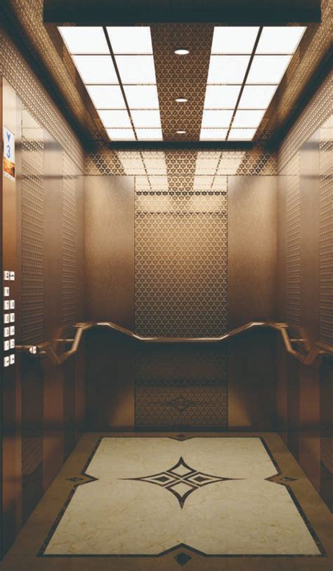 Passenger Elevator Lift Observation Elevator Fuji China Factory