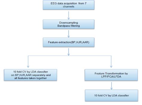 Flowchart Of The Methodology Followed To Process The EEG Data