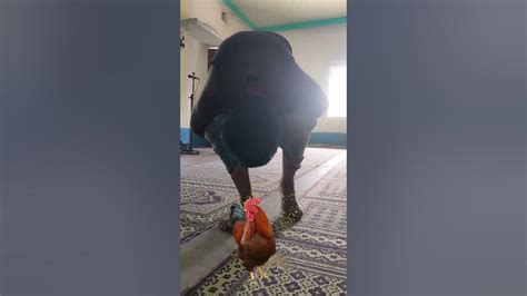 পল্টি মুরগি😱 Azad Ali Youtube