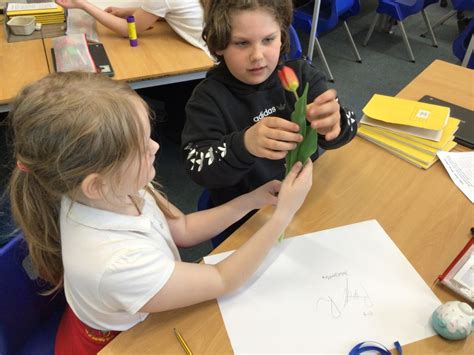 Catching Up With Class Monkwood Primary Babe