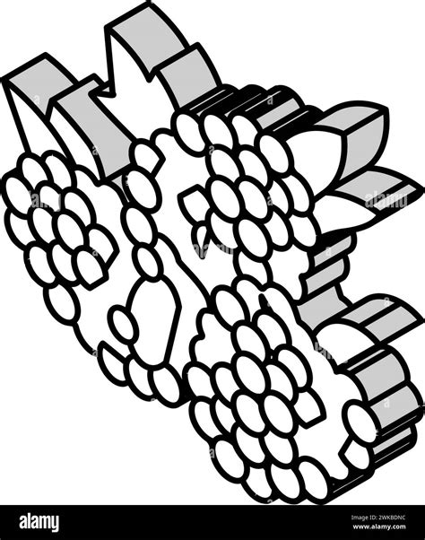 Raspberry Berry Isometric Icon Vector Illustration Stock Vector Image