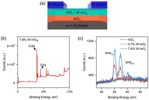 An Enhanced Synaptic Plasticity Of Electrolyte Gated Transistors Through The Tungsten Doping Of