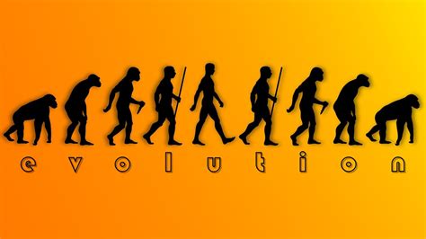 Human Evolution Wallpapers Wallpaper Cave
