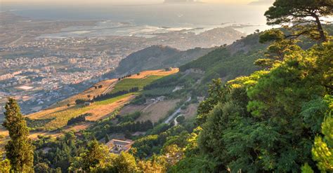 경치 경치가 좋은 고요한 그림 같은 나무 녹지 높은 경치 러스틱 마을 맑은 하늘 매력적인 무성한 산허리 소도시 숲 시칠리아 언덕 에리스 여름