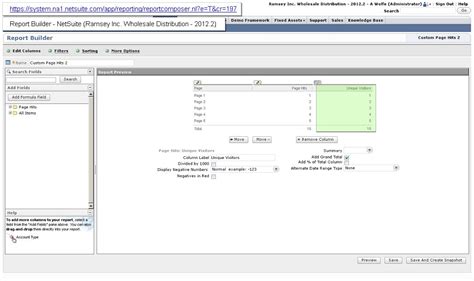 5 Minute Guide To Creating A 404 Report In Netsuite