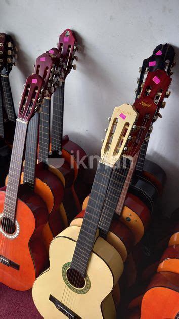 Classical Guitar For Sale In Minuwangoda Ikman