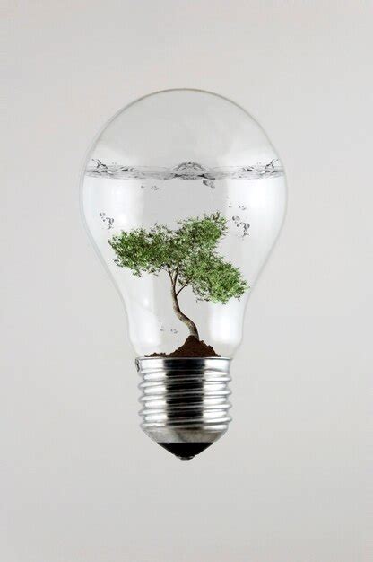 Premium Photo Tree Inside The Light Bulb