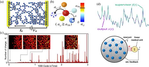 Color Online A Molecular Network Model And B Threshold Rule For Download Scientific