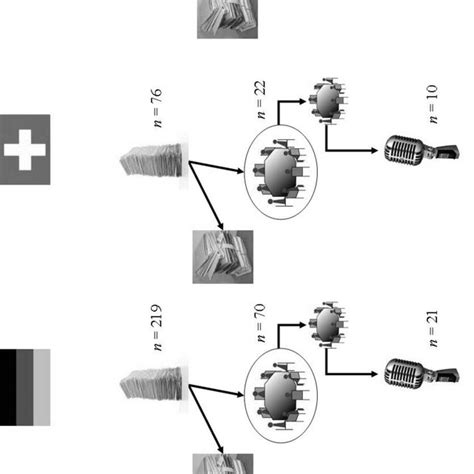Design Of The Study Download Scientific Diagram