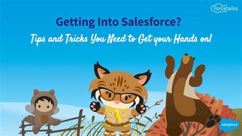 Getting Into Salesforce Tips And Tricks You Need To Get Your Hands On Rsfblogs