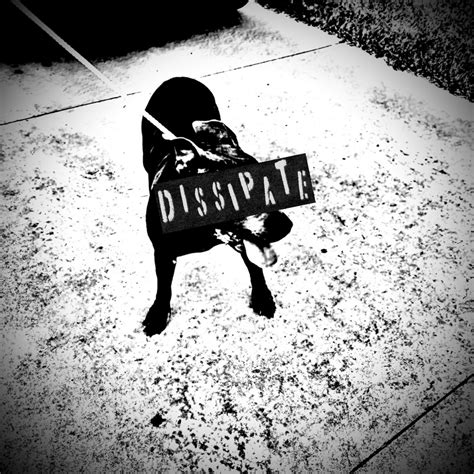 Misinformation Dissipate